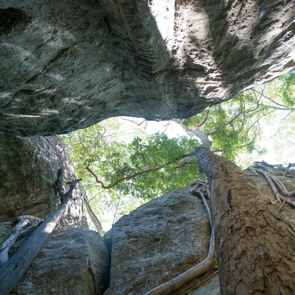 Our landscape north of Yala | Treetopsjunglelodge.com