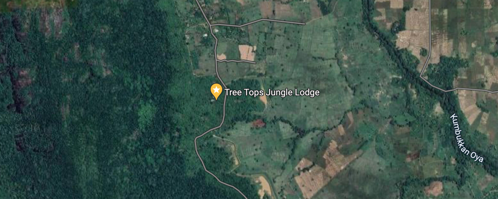 Getting to Buttala - from Ella train station | Treetopsjunglelodge.com